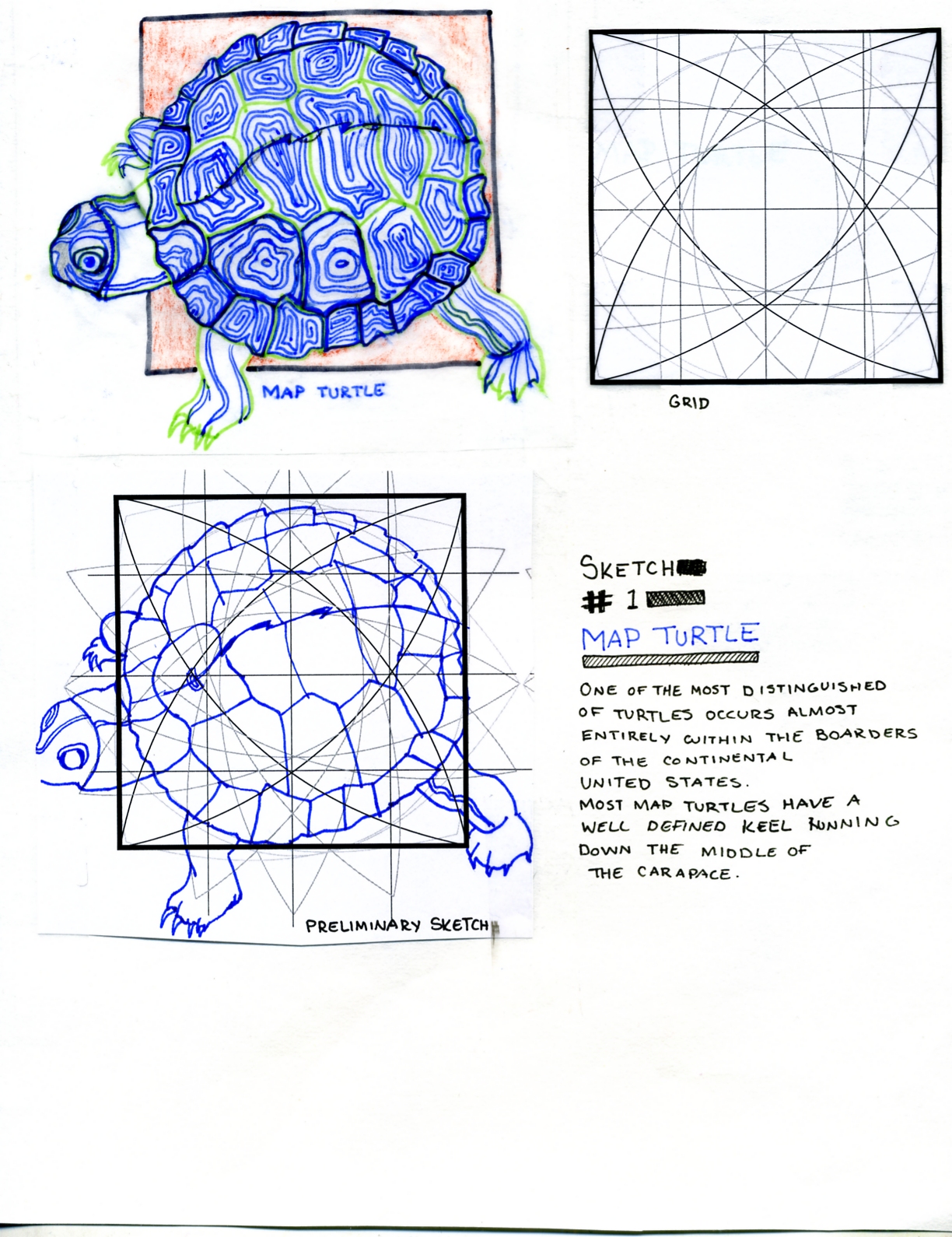 Symbolism Morphology Study - Samantha Barbour's Professional Portfolio