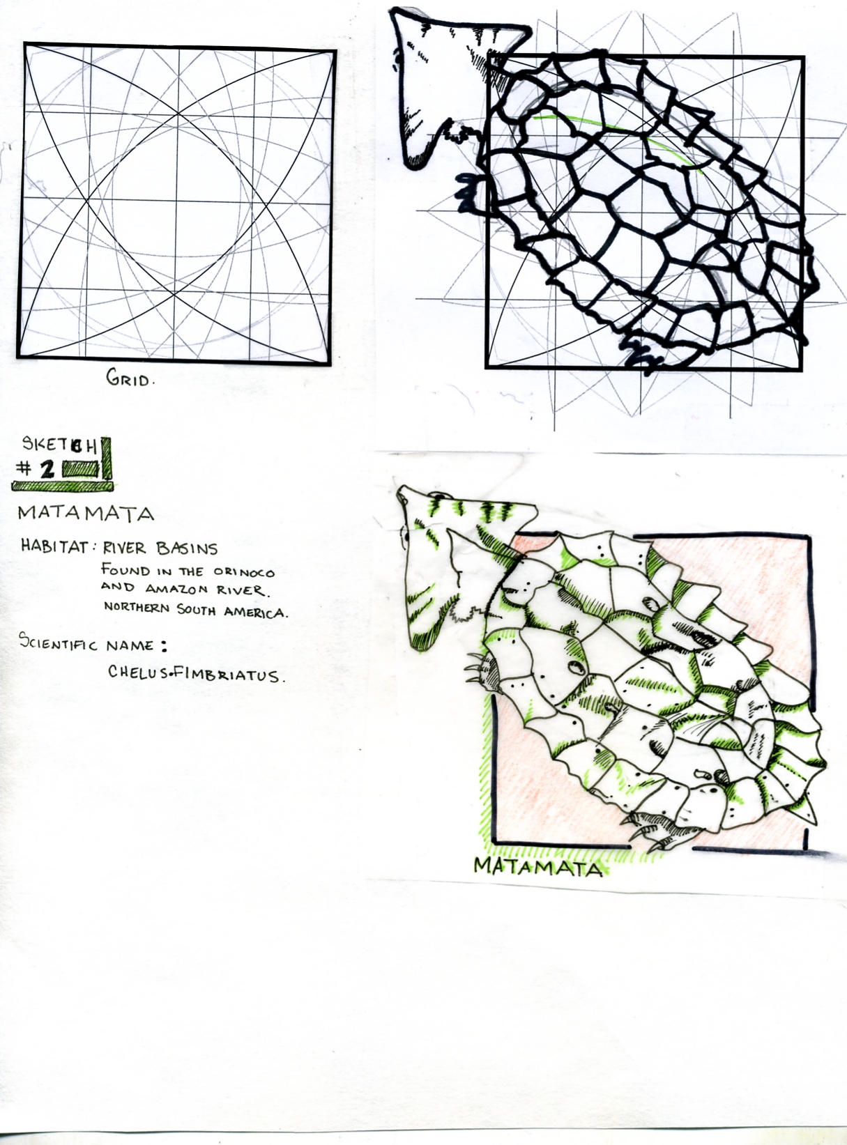 Symbolism Morphology Study - Samantha Barbour's Professional Portfolio