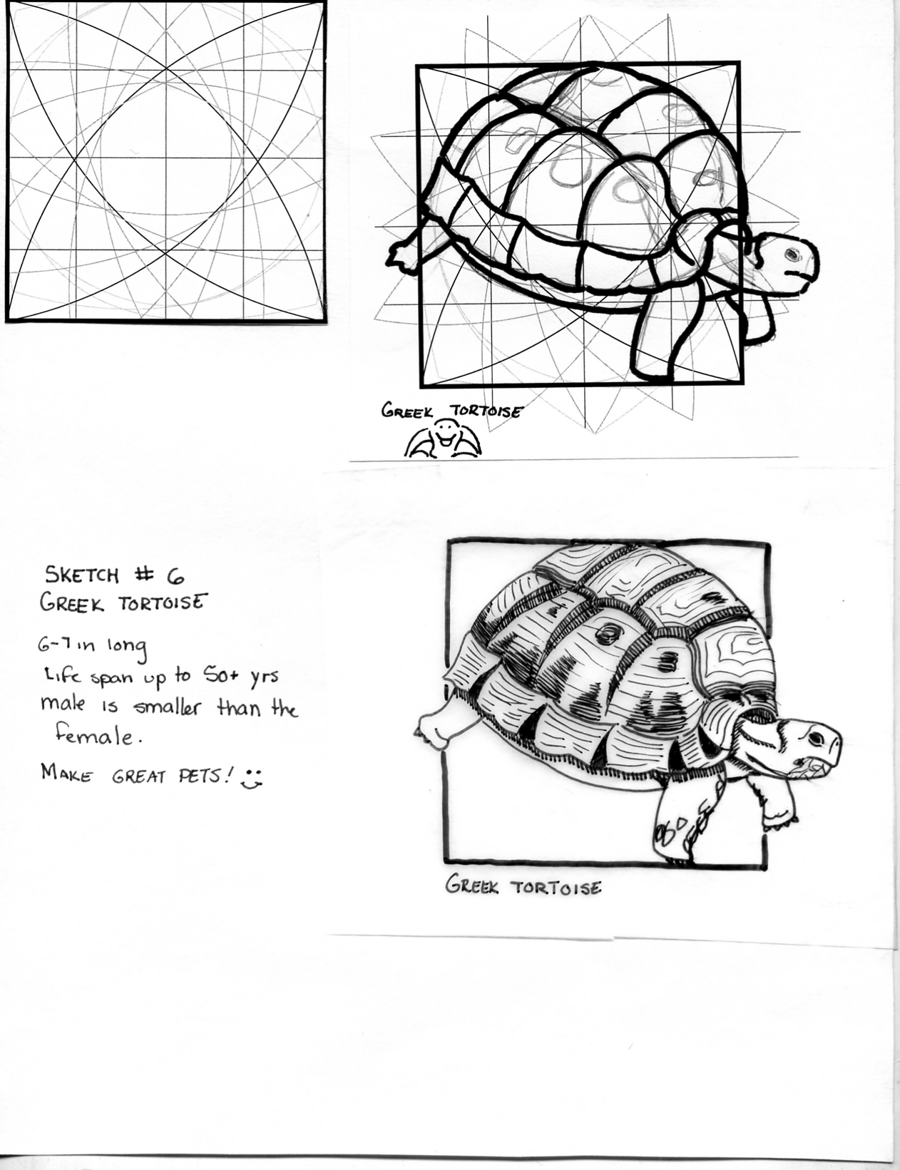 Symbolism Morphology Study - Samantha Barbour's Professional Portfolio