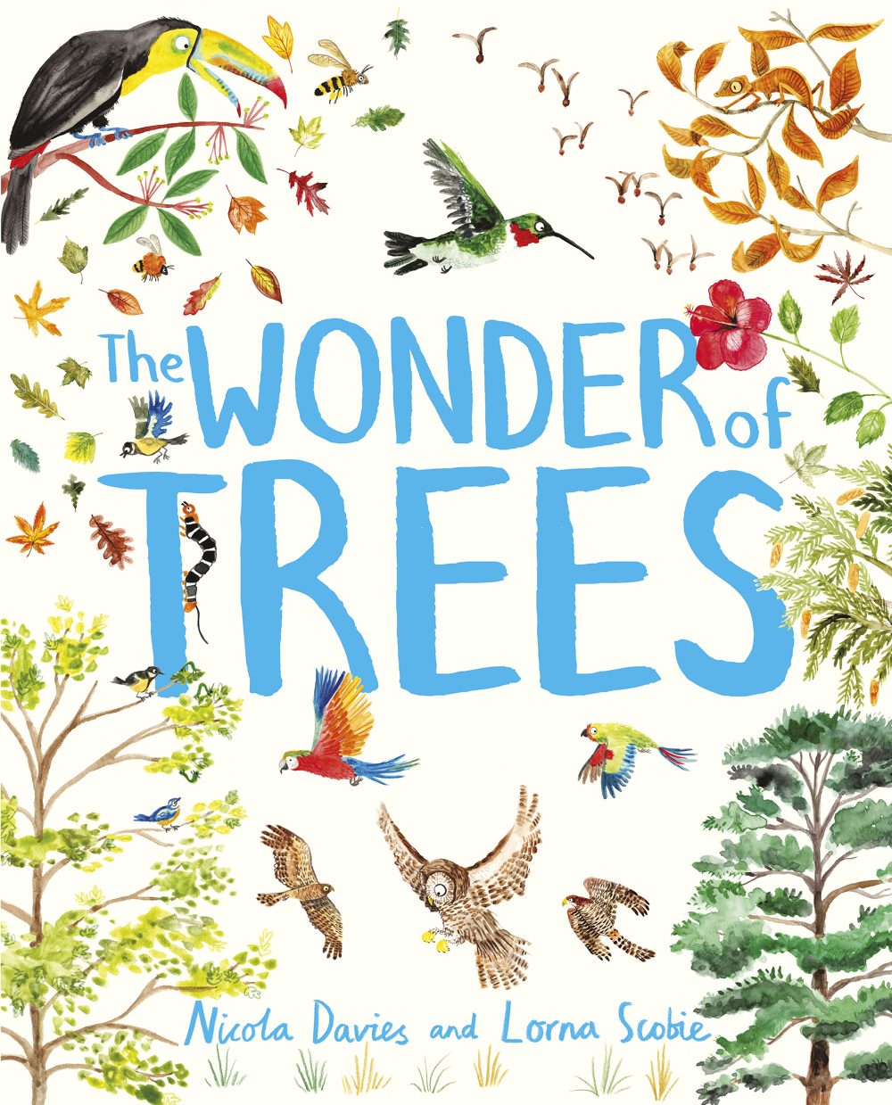 OUT NOW! The Wonder of Trees - Lorna Scobie Illustration