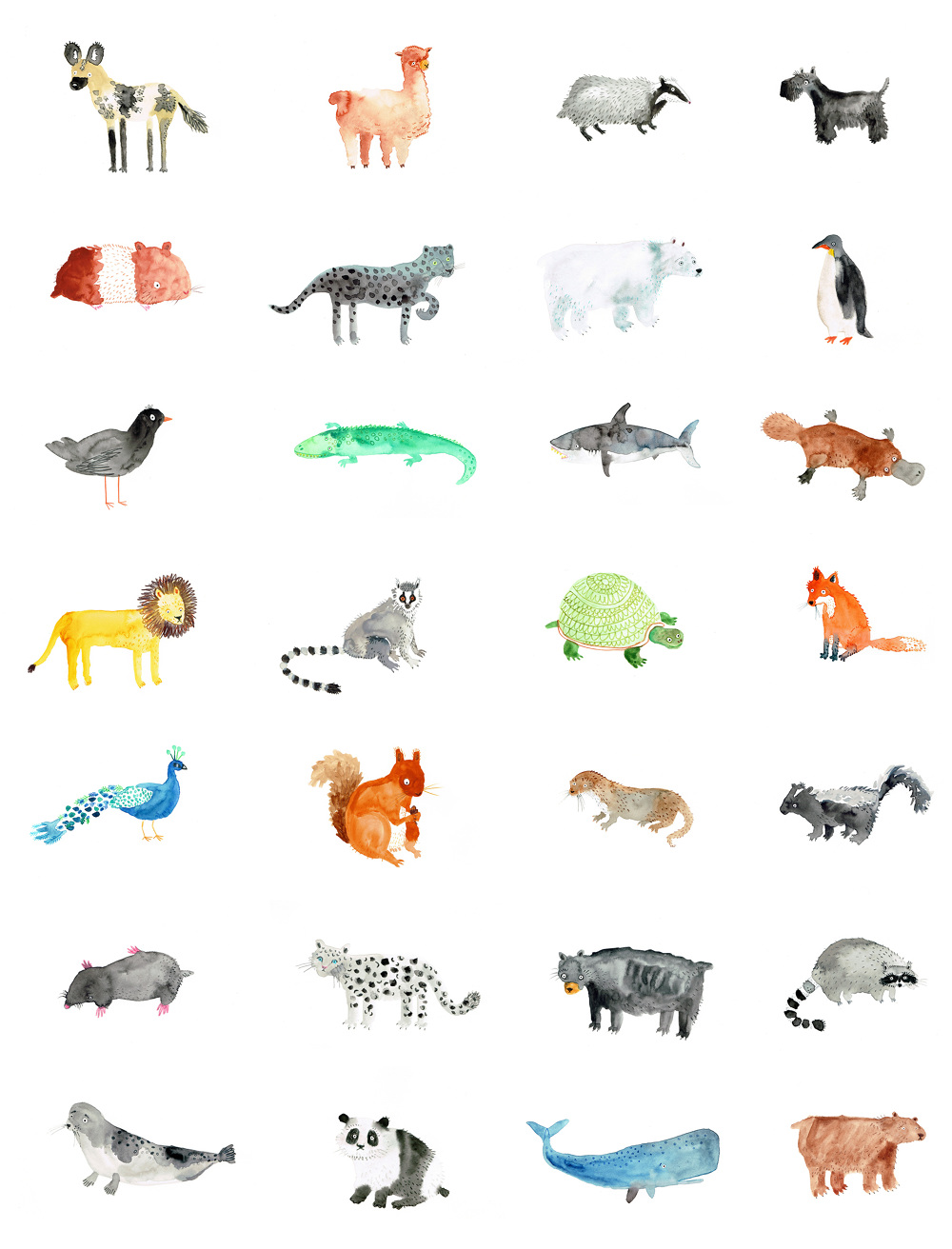 A day of animal drawings - Lorna Scobie Illustration