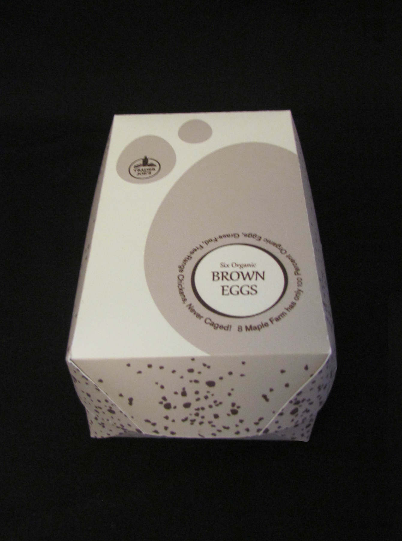 Evolution Packaging - Madison Gillis