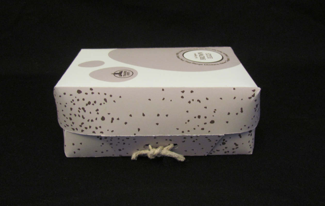 Evolution Packaging - Madison Gillis