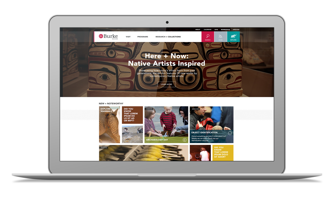 Burke Museum Site Redesign - Taylor Beeghly | Portfolio