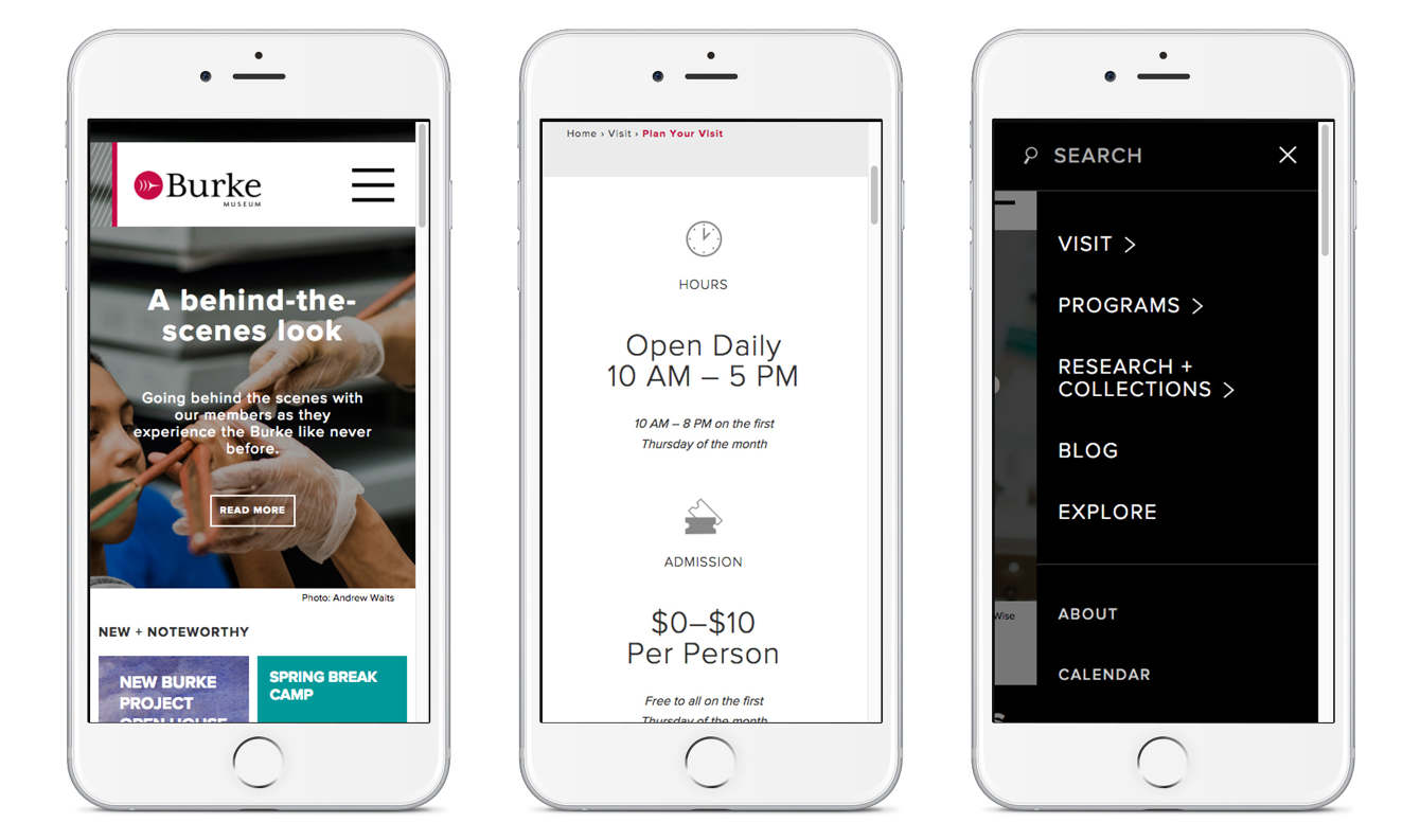 Burke Museum Site Redesign - Taylor Beeghly | Portfolio