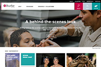 Burke Museum Site Redesign - Taylor Beeghly | Portfolio
