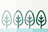 Cliff Seto - Art Director