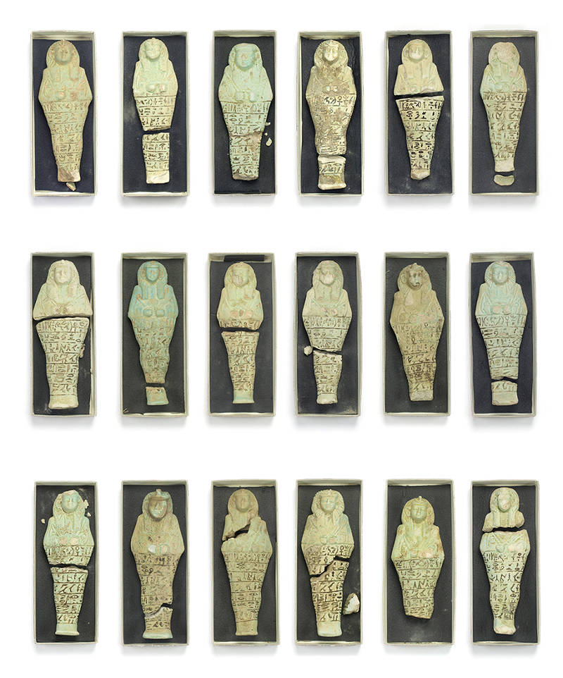 BLUE MUSSEL SHELL - Typology