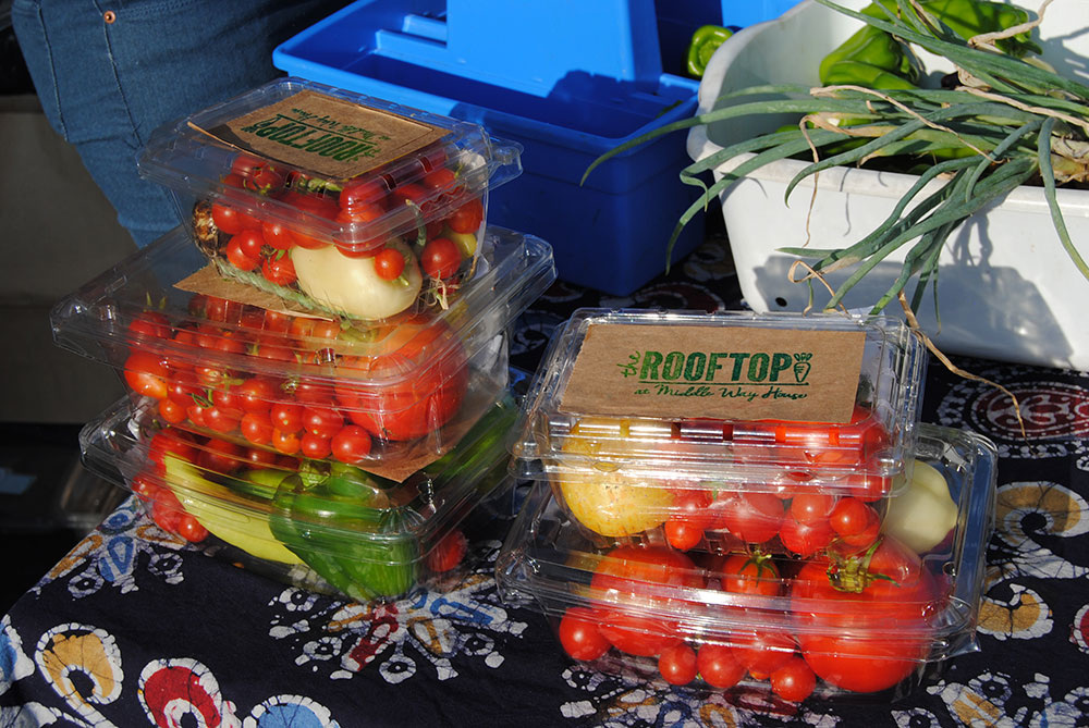 The Rooftop at Middle Way House - Hannah Boresow