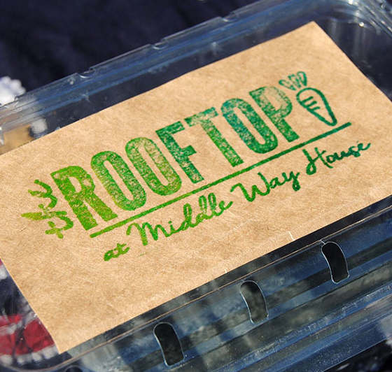 The Rooftop at Middle Way House - Hannah Boresow