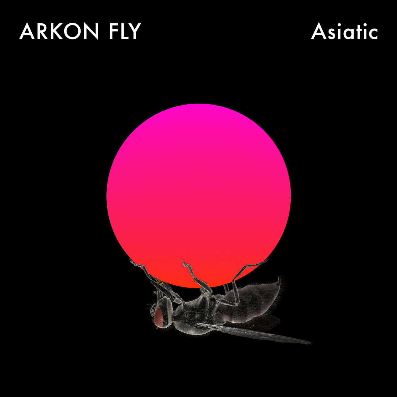 Arkon Fly - Signe Emma