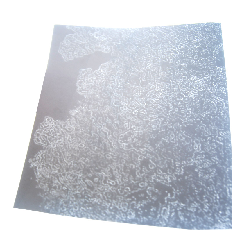 Digital Images and Photography 2010 - 2011 - Marianna Williams