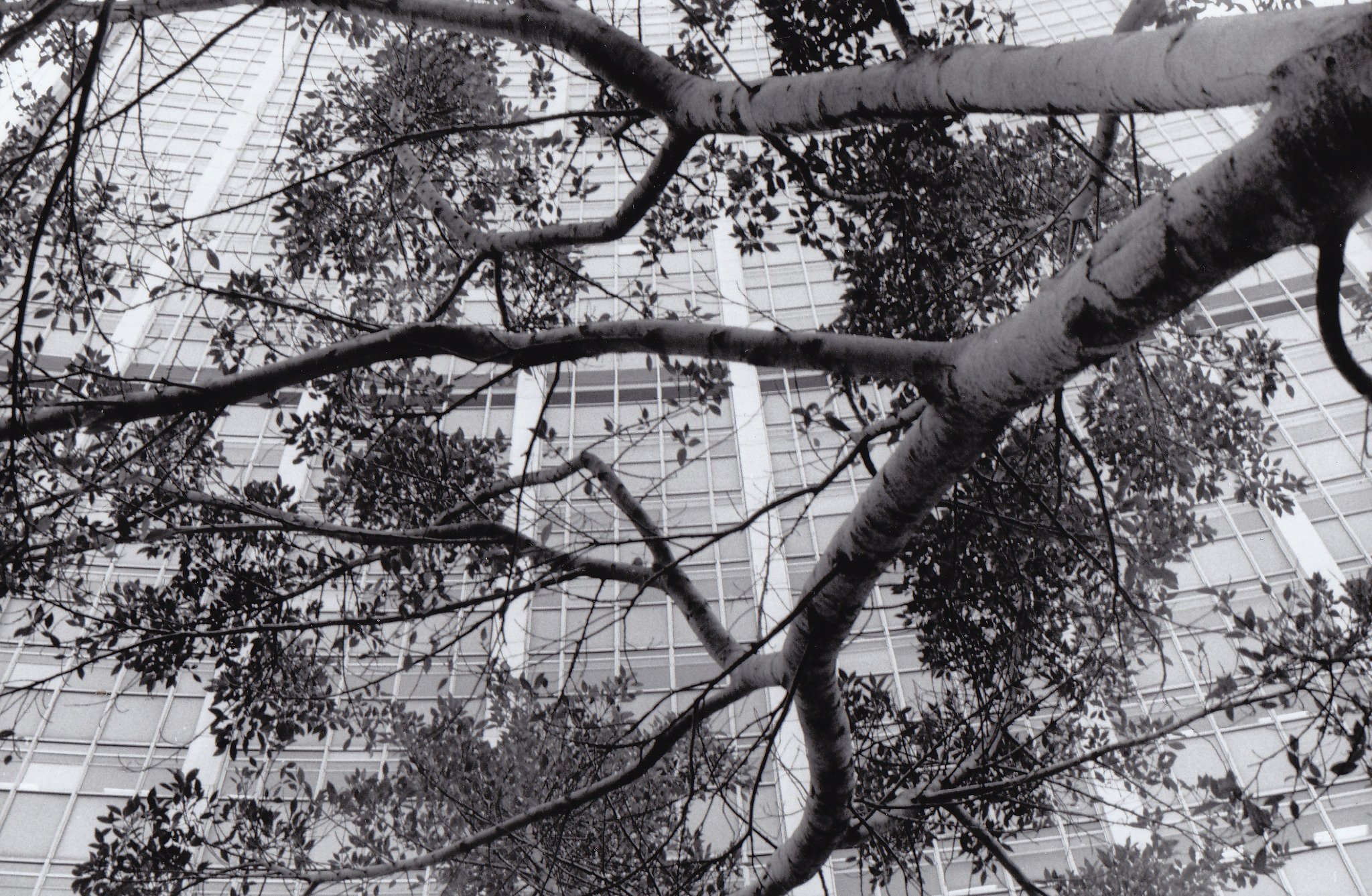 Urban Angles - Dominique Collard Photography