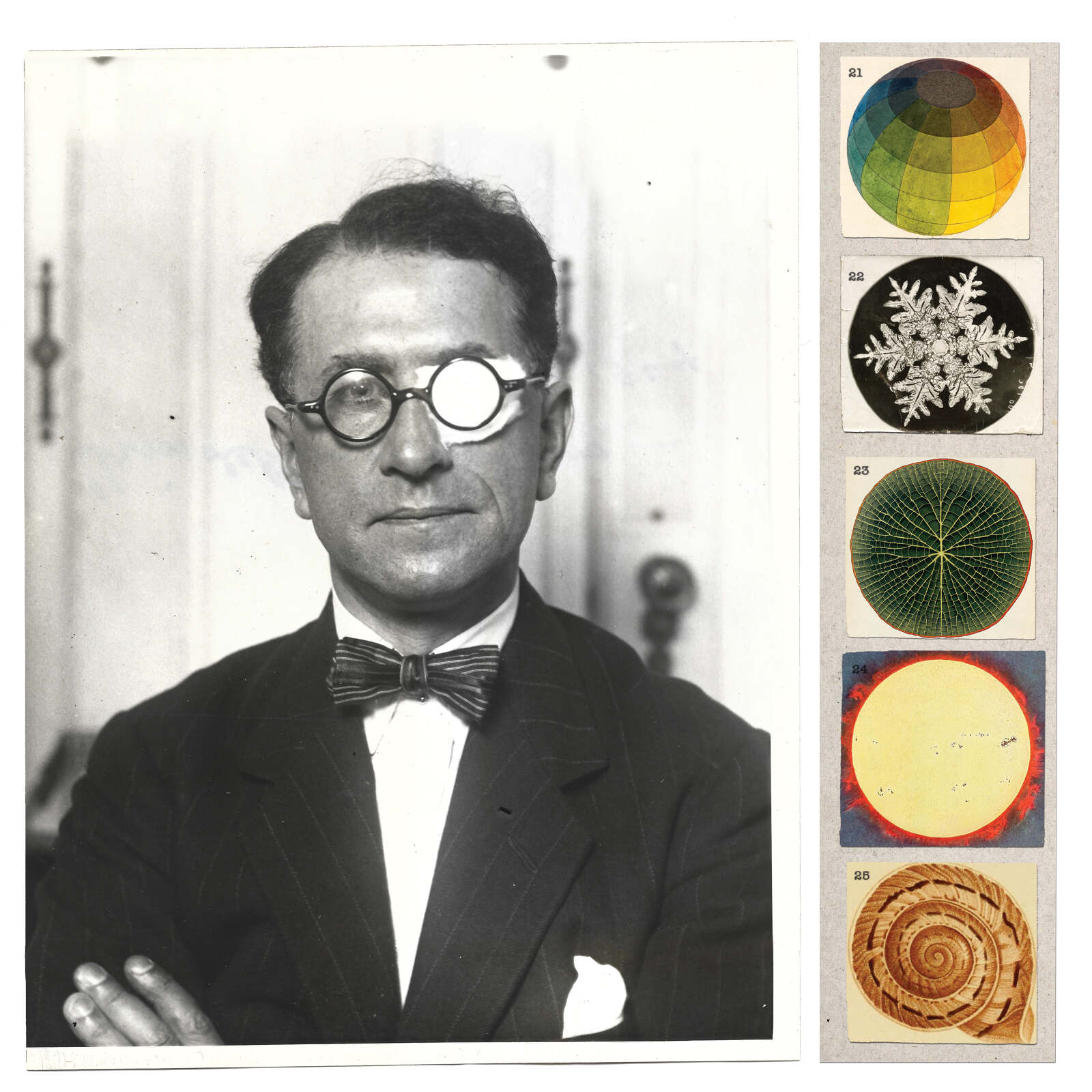 COLLAGE - Matt Roeser