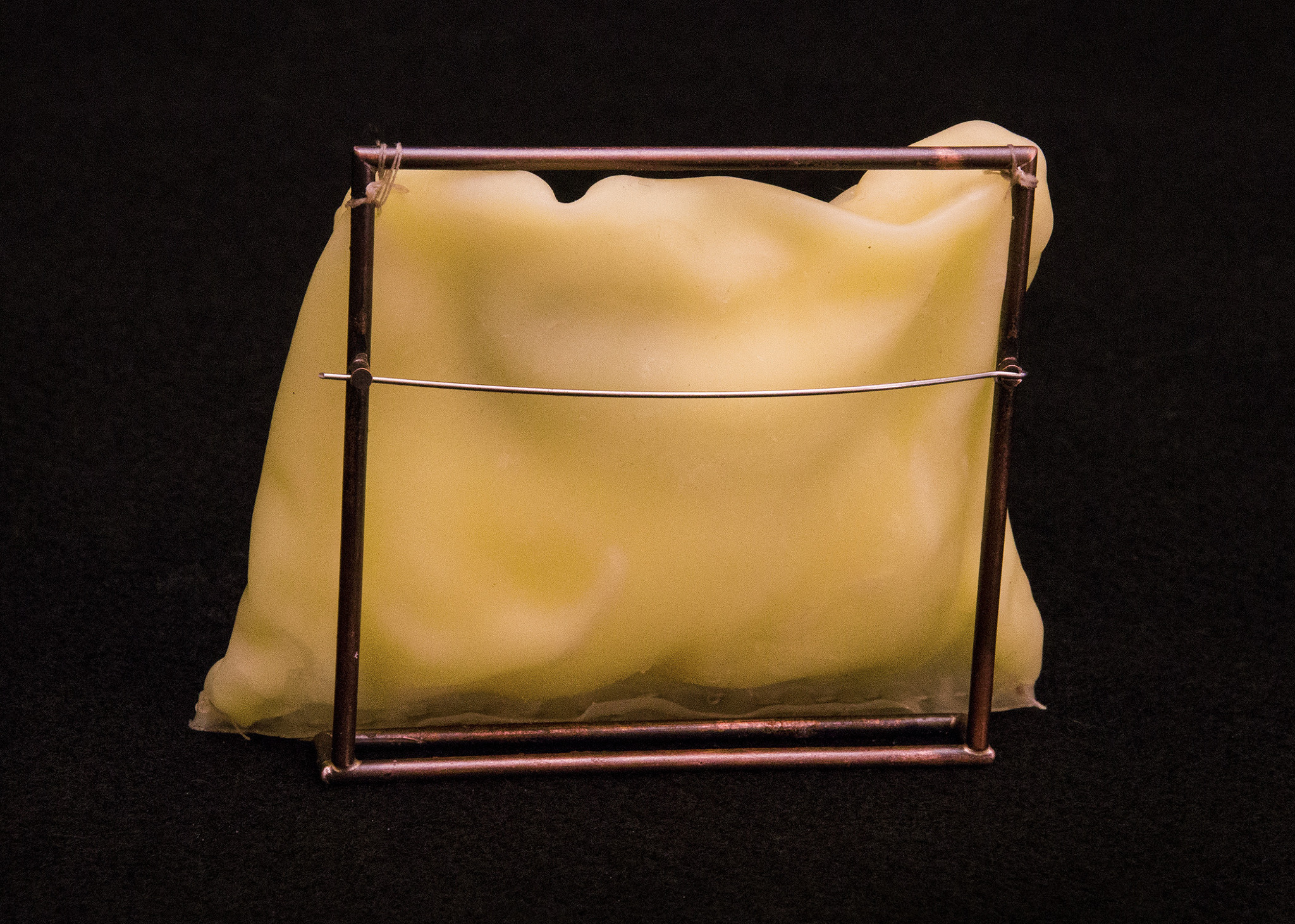 Enacting the Flesh: FAT - Naomi Faith