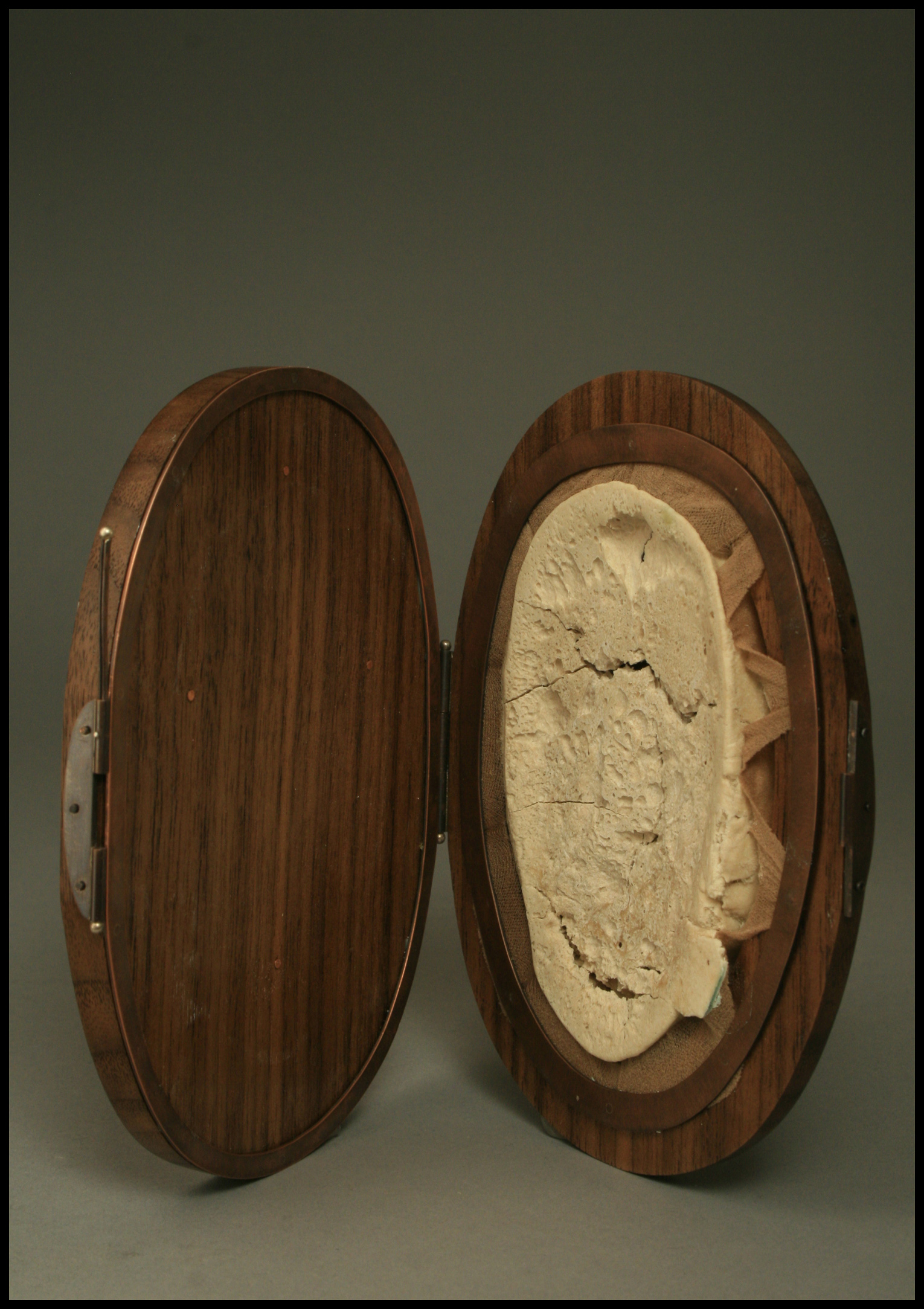 Enacting the Flesh: FAT - Naomi Faith