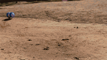 SPHERO GIFs - MichaelWaldFilm
