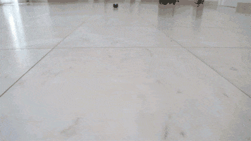 SPHERO GIFs - MichaelWaldFilm