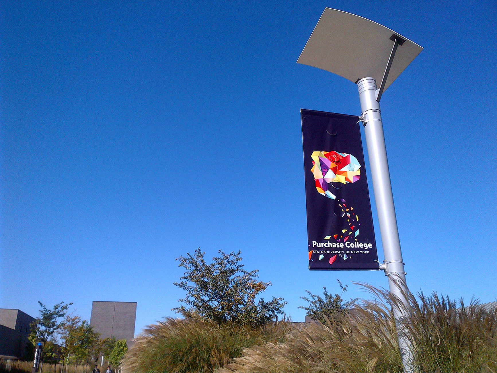 Purchase College Banners - tesswieloszynski