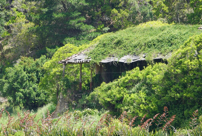 Sin Título - Abarca Palma