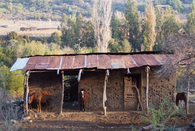 Sin Título - Abarca Palma