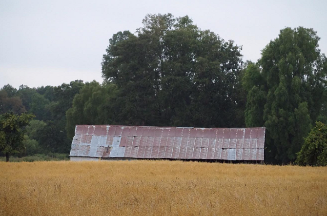 Sin Título - Abarca Palma