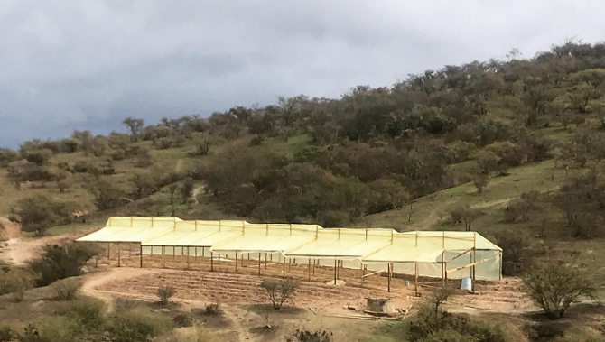 Sin Título - Abarca Palma