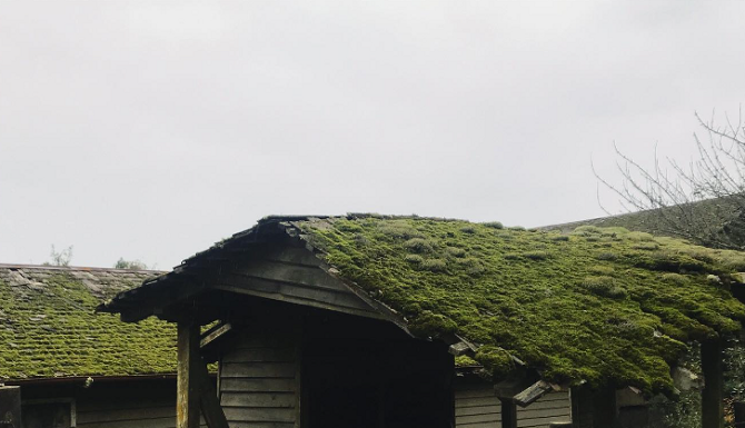 Sin Título - Abarca Palma