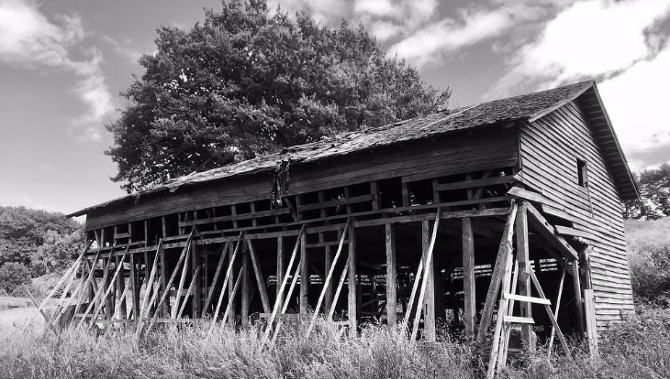 Sin Título - Abarca Palma