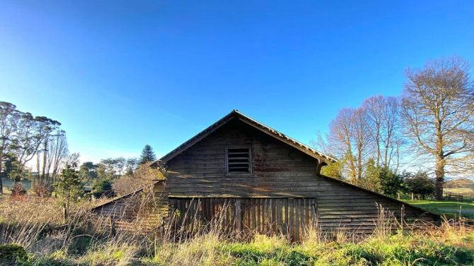Sin Título - Abarca Palma