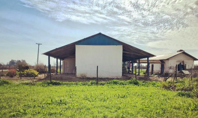 Sin Título - Abarca Palma