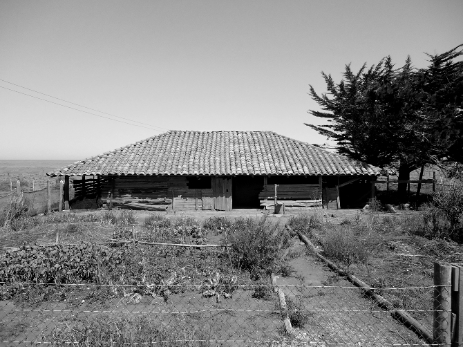 Sin Título - Abarca Palma