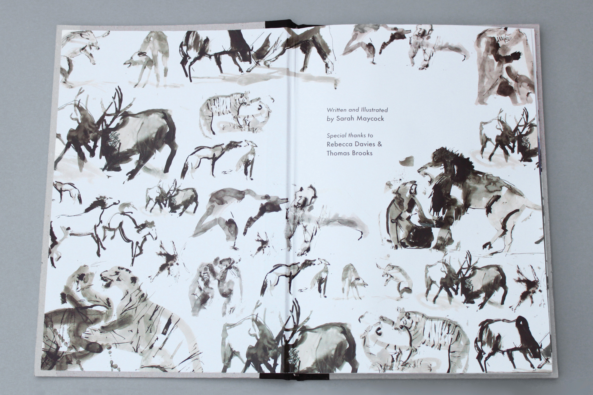 Human (adj.) - Sarah Maycock