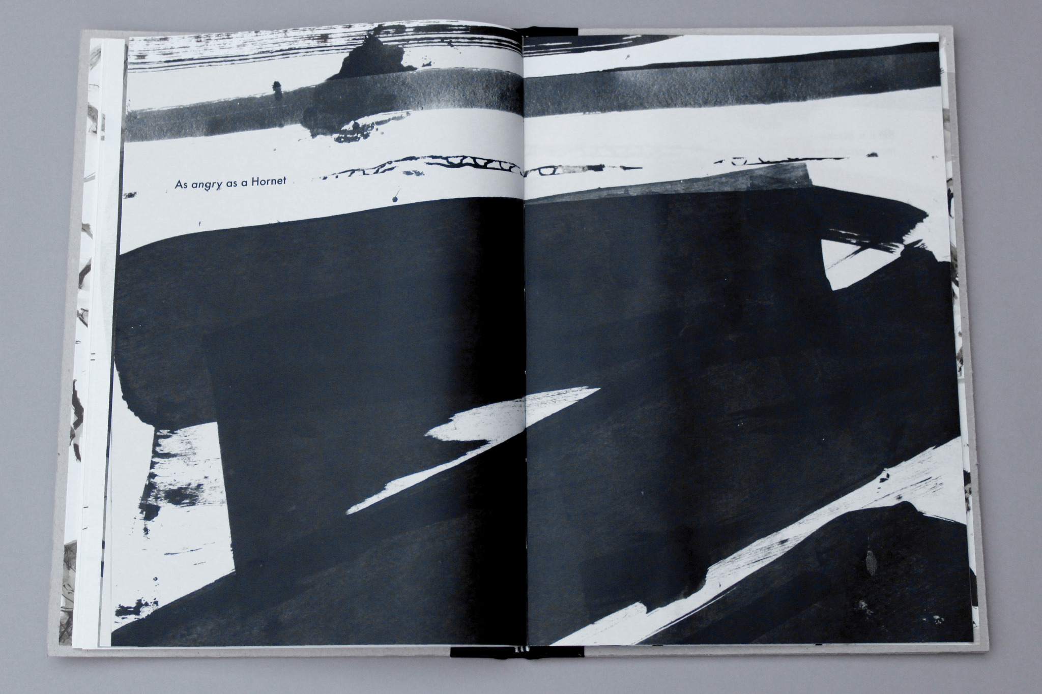 Human (adj.) - Sarah Maycock