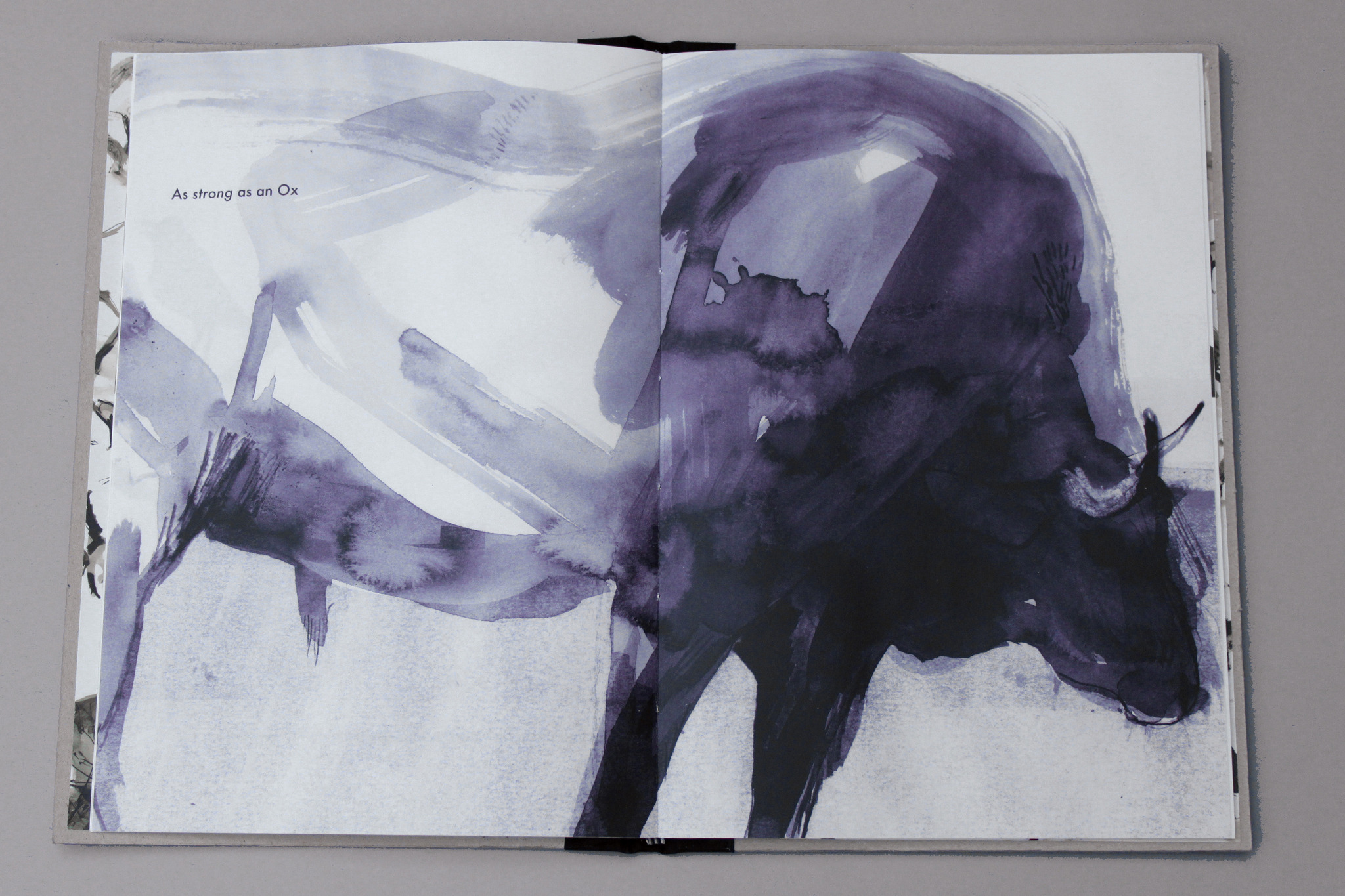 Human (adj.) - Sarah Maycock