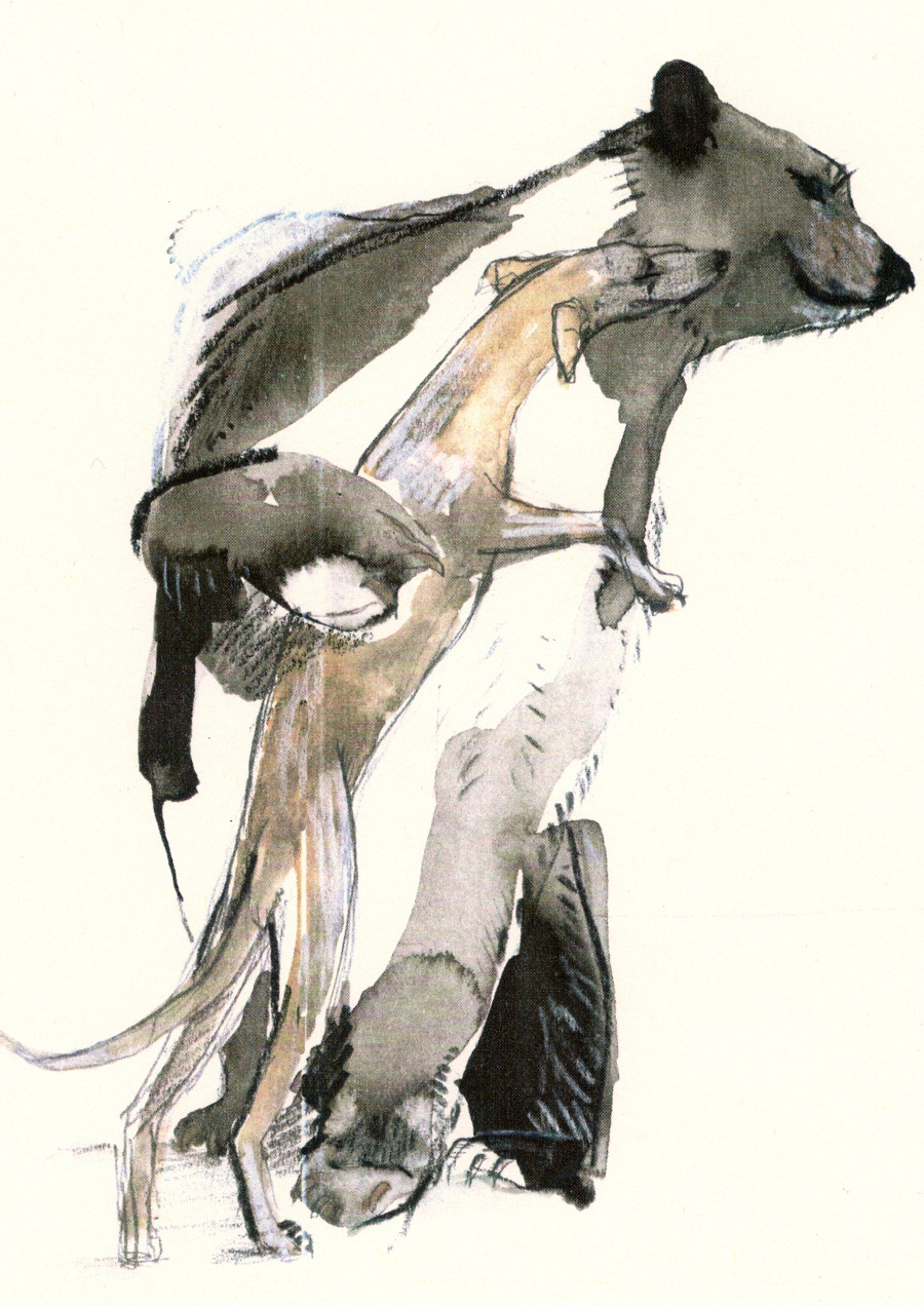 Sarah Maycock - Shelley Davies