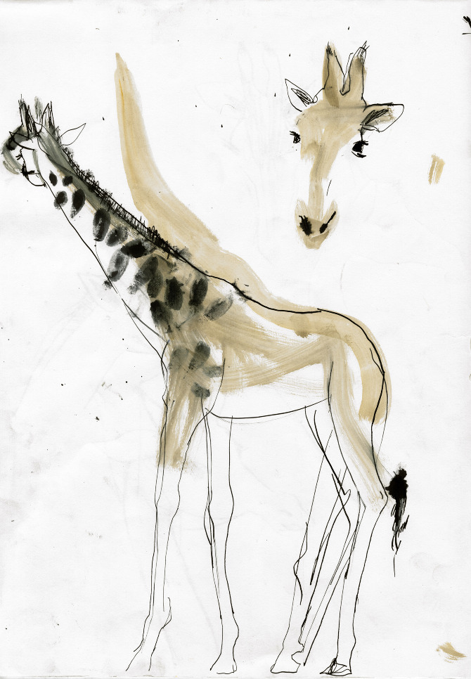 Animals Misc. - Sarah Maycock