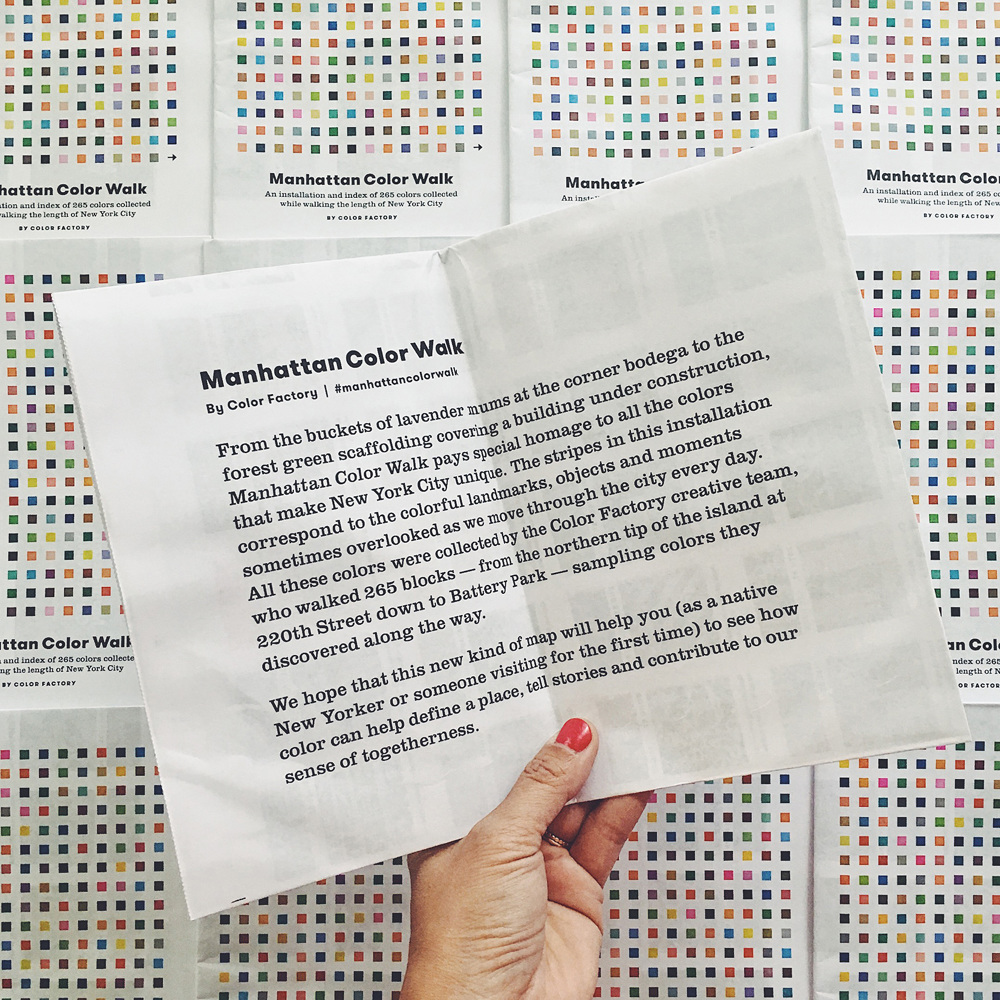 Erin Jang | Design & Illustration