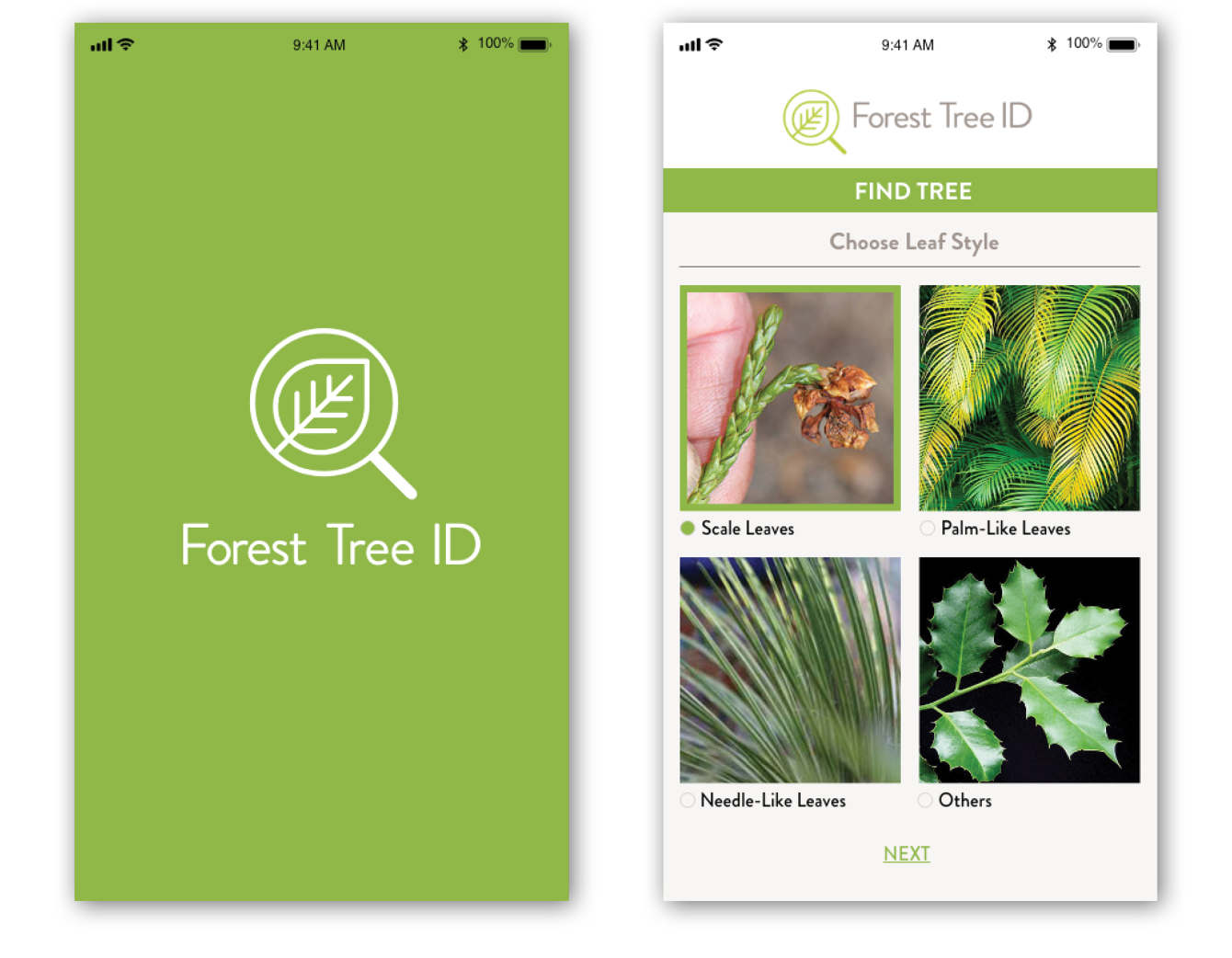 Forest Tree ID app logo and UX design - James Ty Cumbie Design