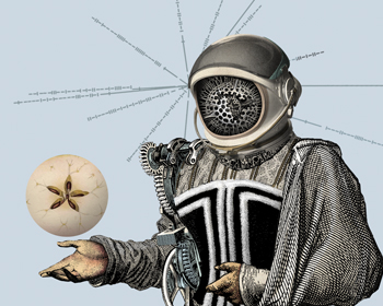 Celsius :: Illustration & art direction