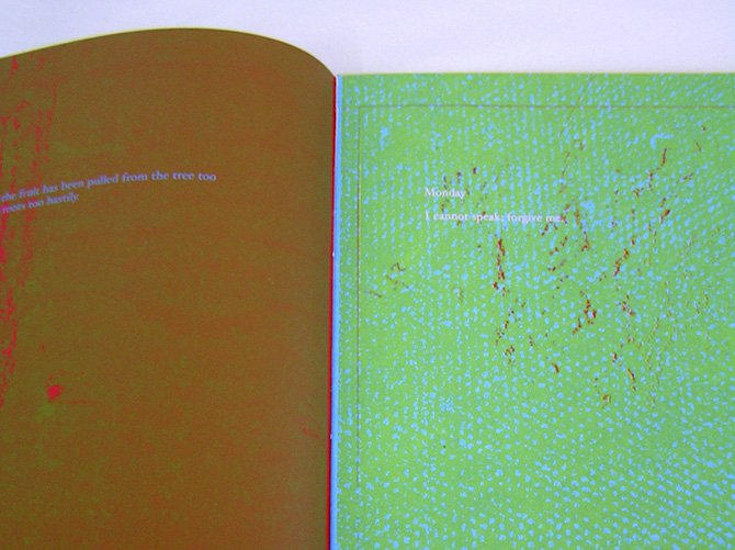 small press work - Clare Bryan