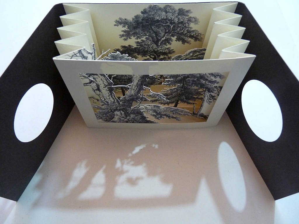 workshops - Clare Bryan