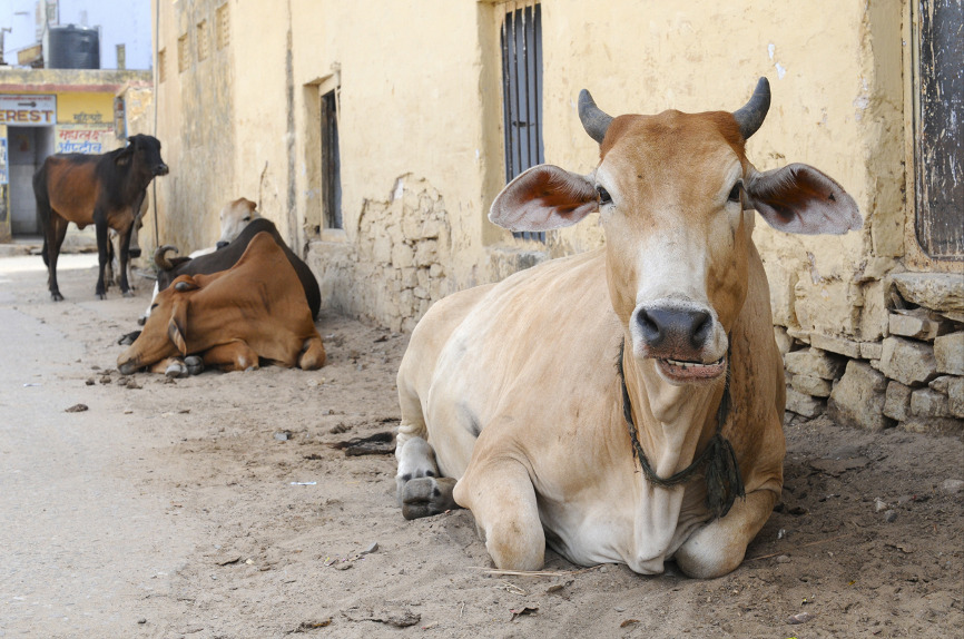 THE ANNIVERSARY ISSUE - Hycide.com