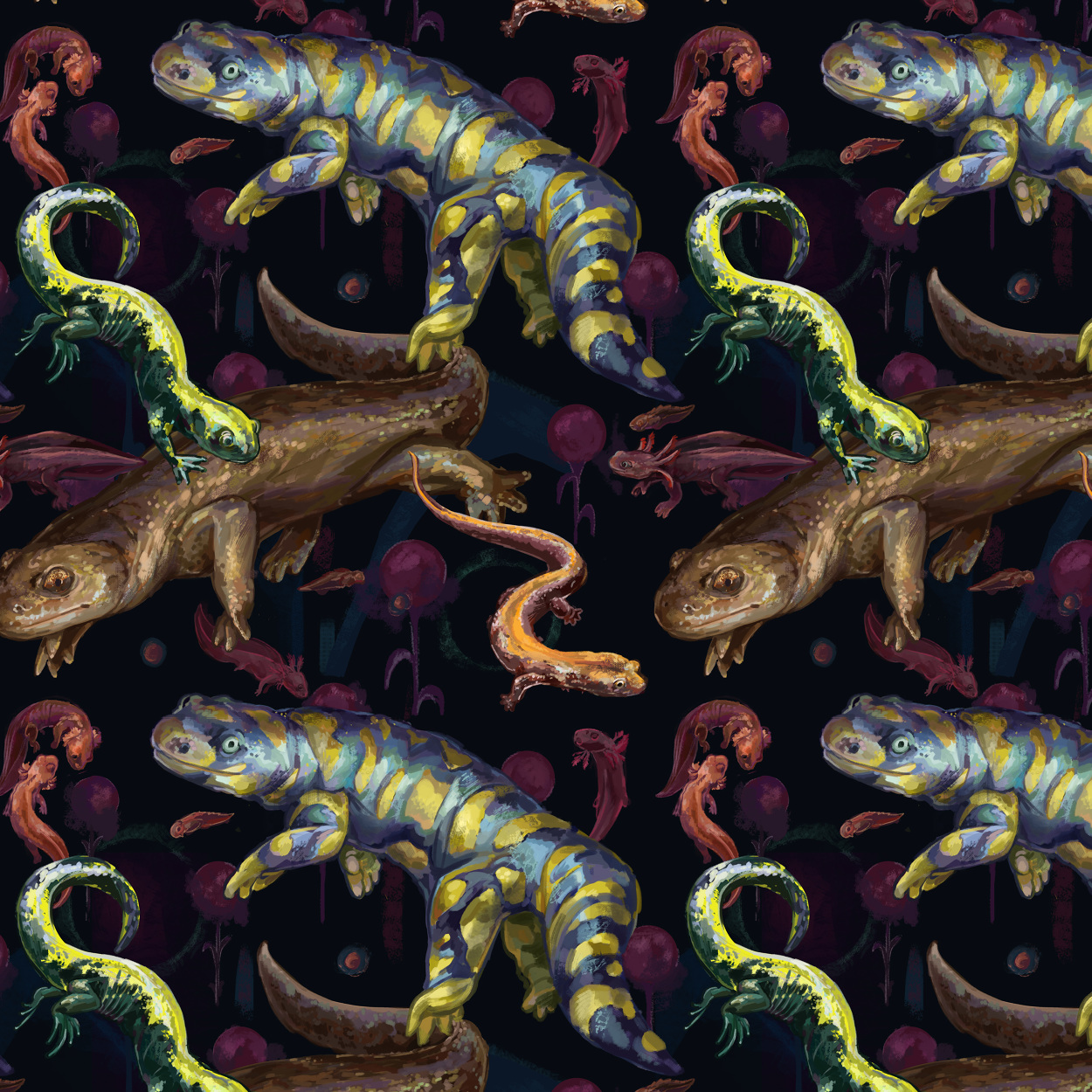 Salamanders of Idaho - Rasgorshek