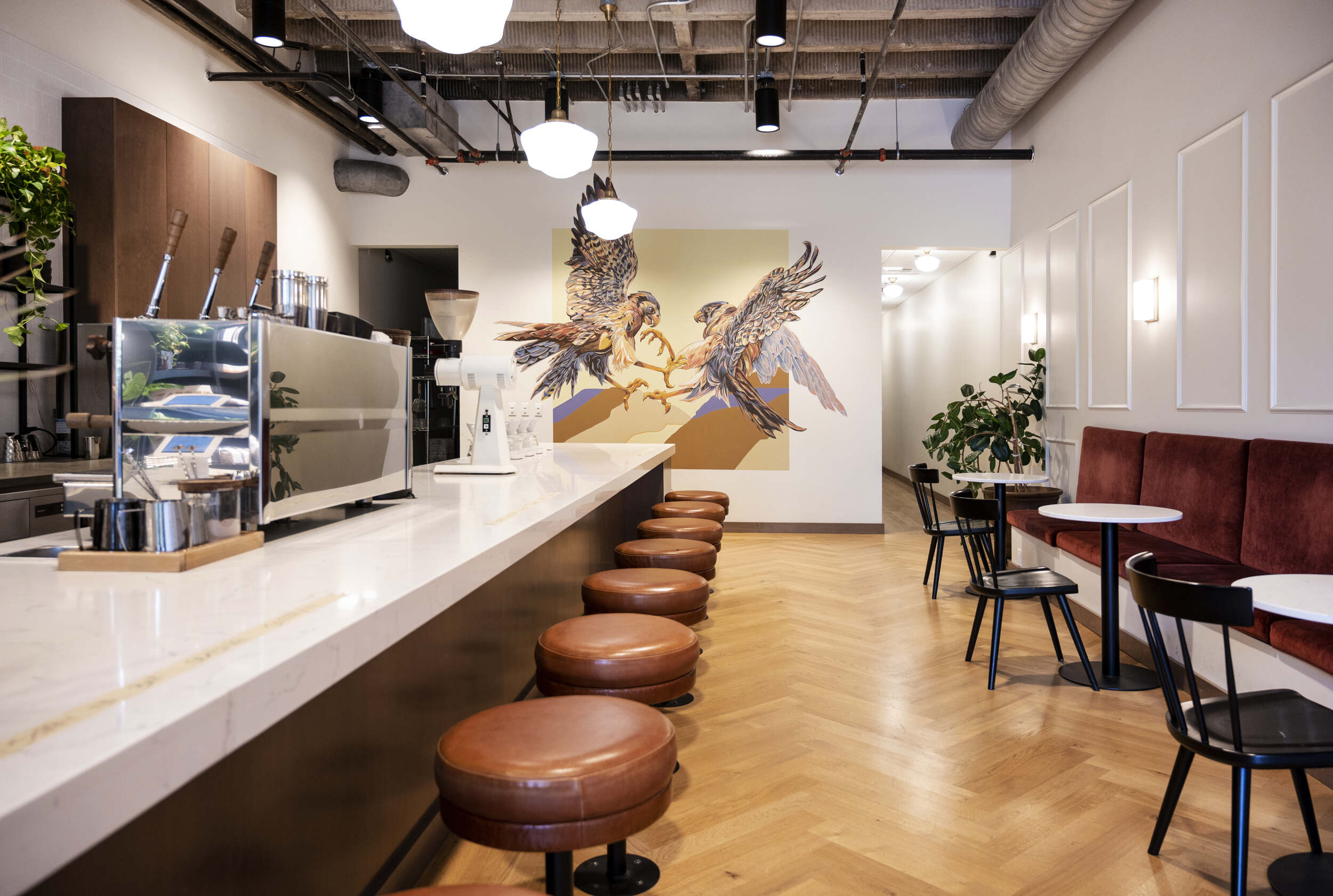 NECKAR Coffee - Rasgorshek