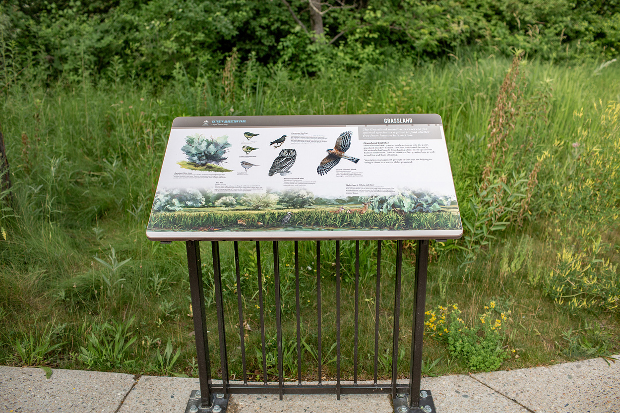 Katherine Albertson's Interpretive Panels - Rasgorshek