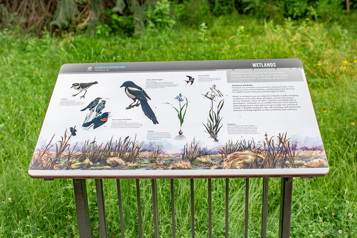 Katherine Albertson's Interpretive Panels - Rasgorshek