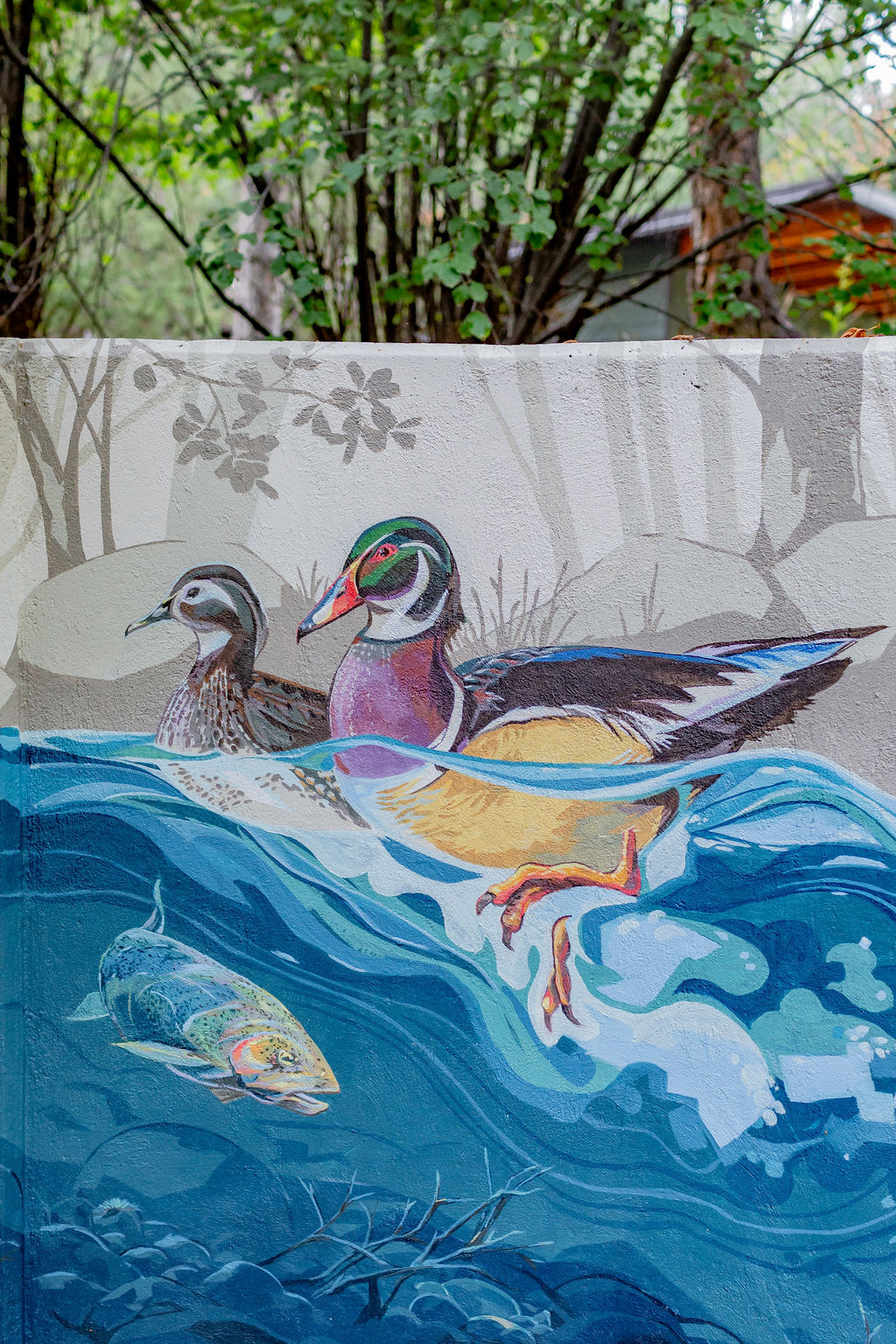 MK Nature Center Display - Rasgorshek