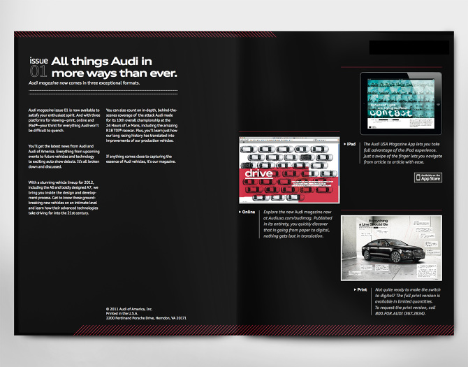 Audi POS - Hera Cheung