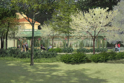 Diandra Maselli | Portfolio